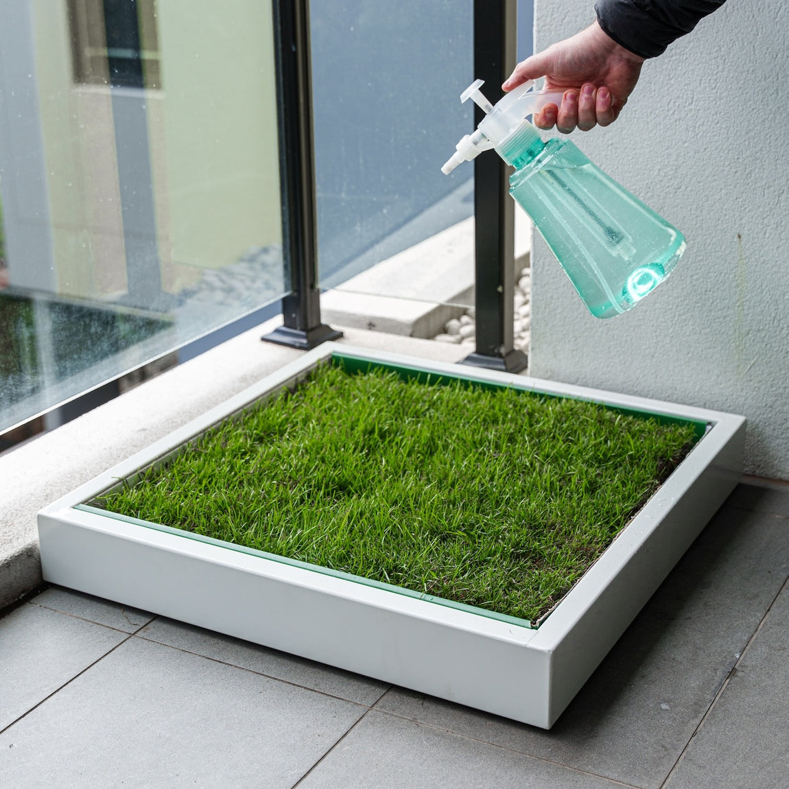 Buy Real Grass Dog Toilets - Nature's Loo Australia